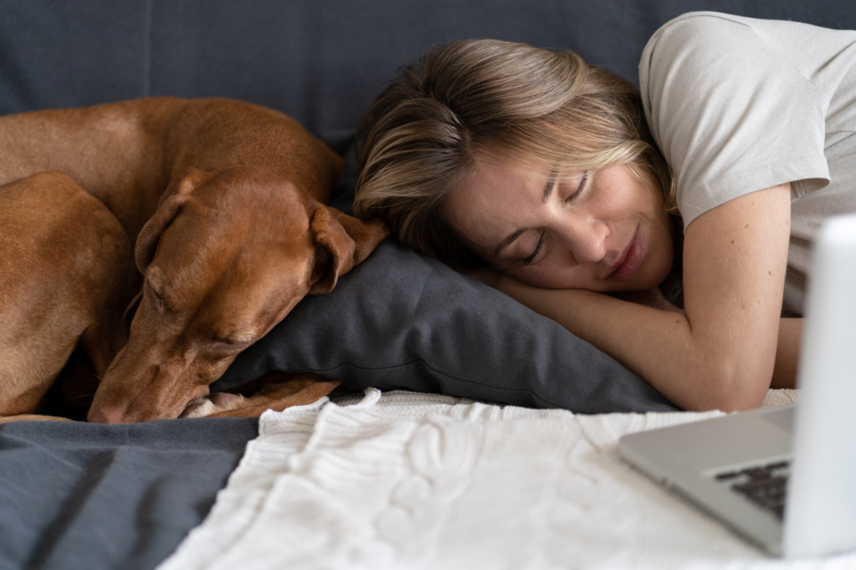 Why Taking a Nap is More Important than Ever – SMUG.
